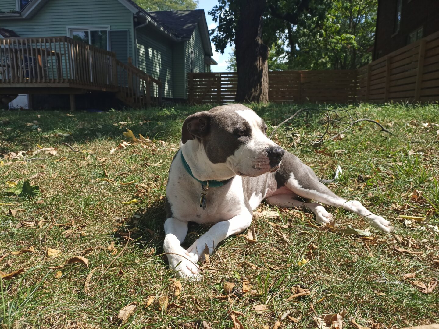 BLU G90 Pro review: Gaming on a budget - Android Authority