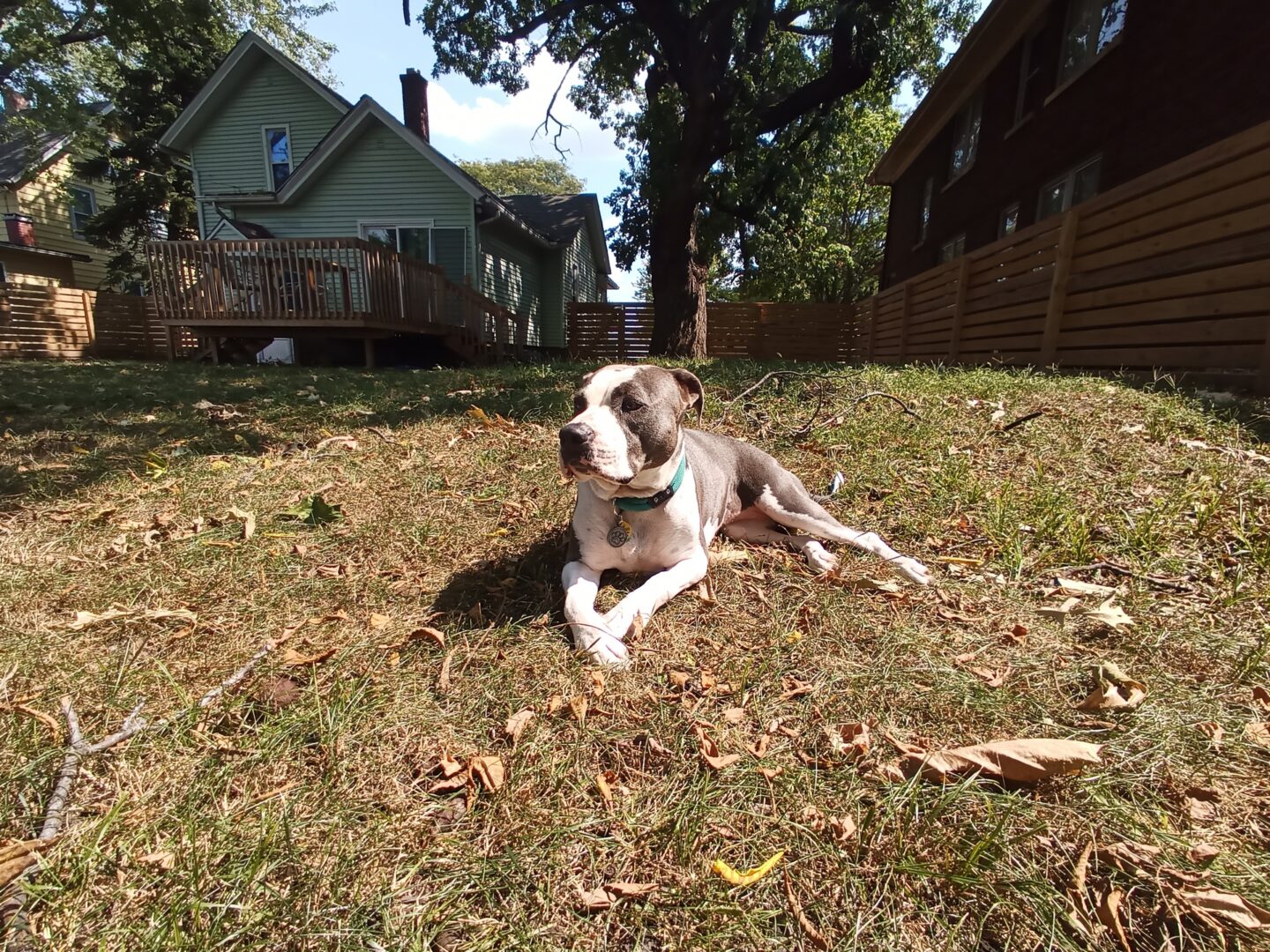 BLU G90 Pro review: Gaming on a budget - Android Authority