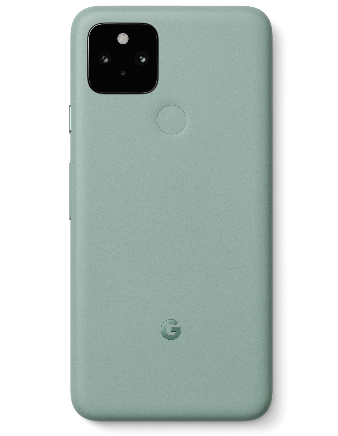 Google Pixel 5 leaks in a minty fresh green