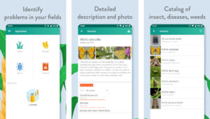 10 best plant apps and flower identification apps for Android