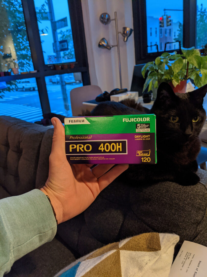 Google Pixel 5 review: Fundamentally great - Android Authority