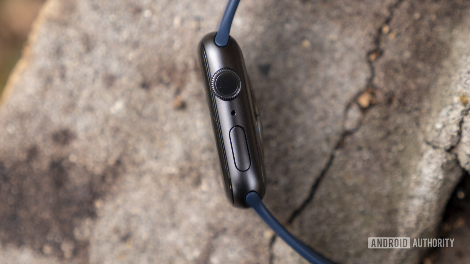 Apple Watch cellular not working? Here's how to fix it - Android Authority