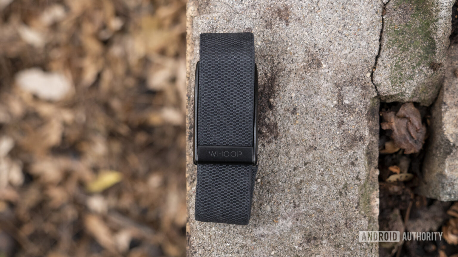 WHOOP Strap review: Personalized strain and recovery on your wrist