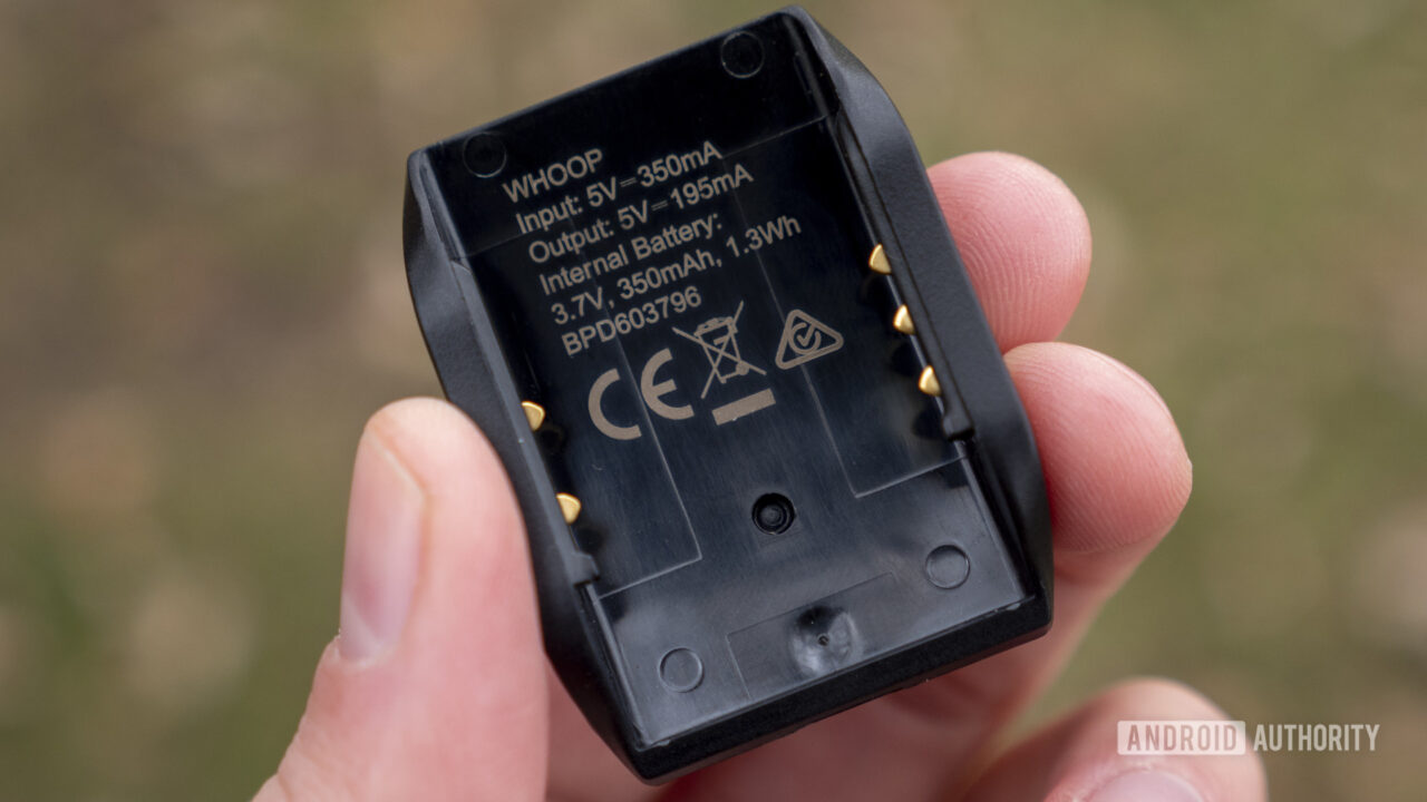 WHOOP Strap review: Personalized strain and recovery on your wrist