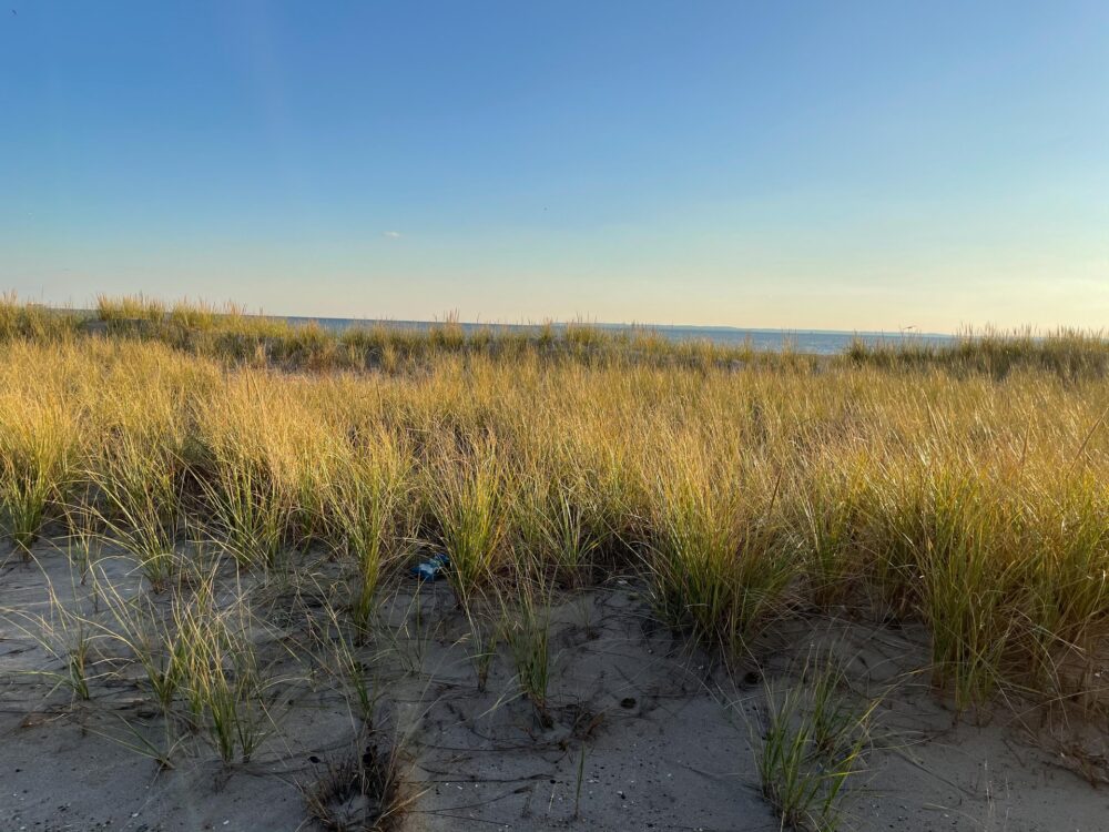 Apple iPhone 12 Mini review: Pint-sized power