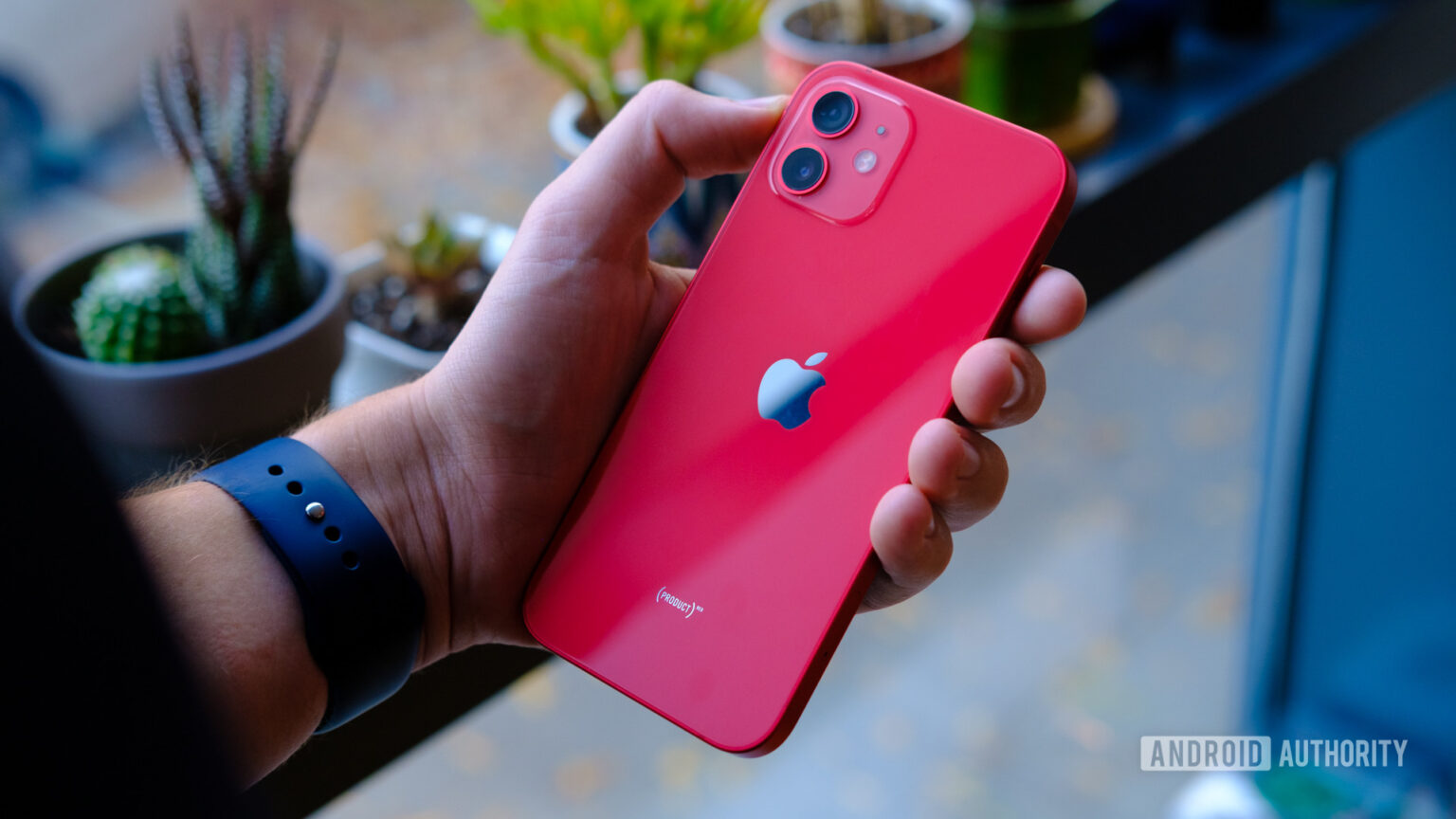 Apple promises to fix iPhone 12 radiation levels with software update