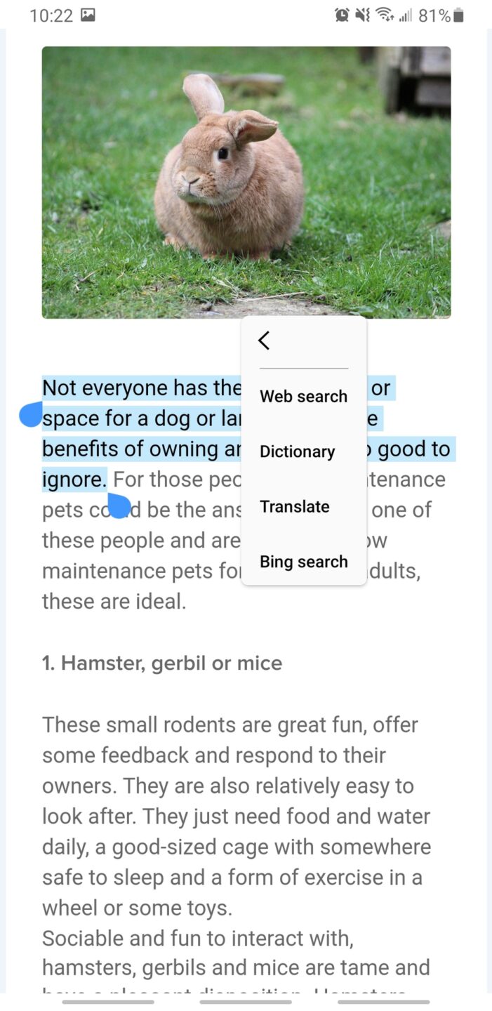 How to use Google Translate with over 100 languages - Android Authority