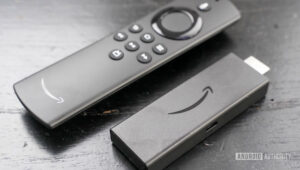 Amazon Fire TV Stick Lite review: The simplest streaming solution