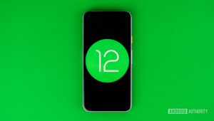 Android 12 developer preview is here for Pixels now! - Android Authority
