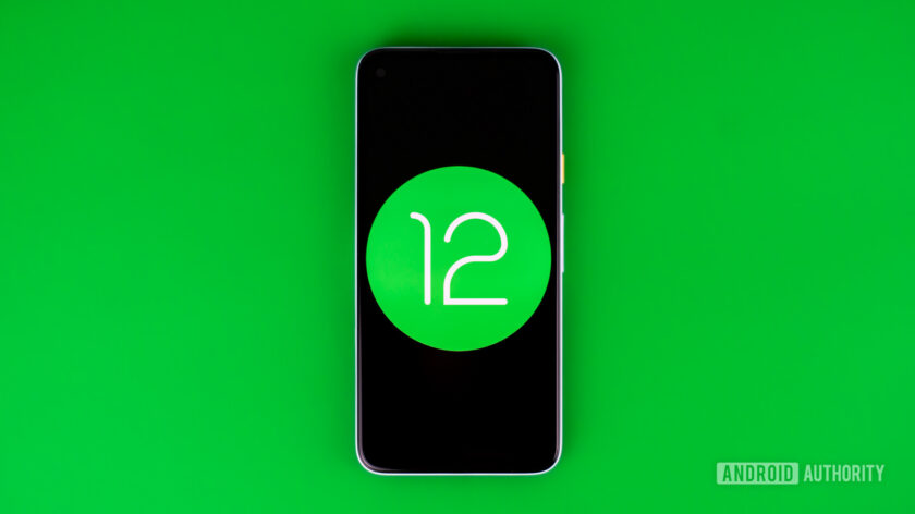 Android 12 developer preview is here for Pixels now! - Android Authority