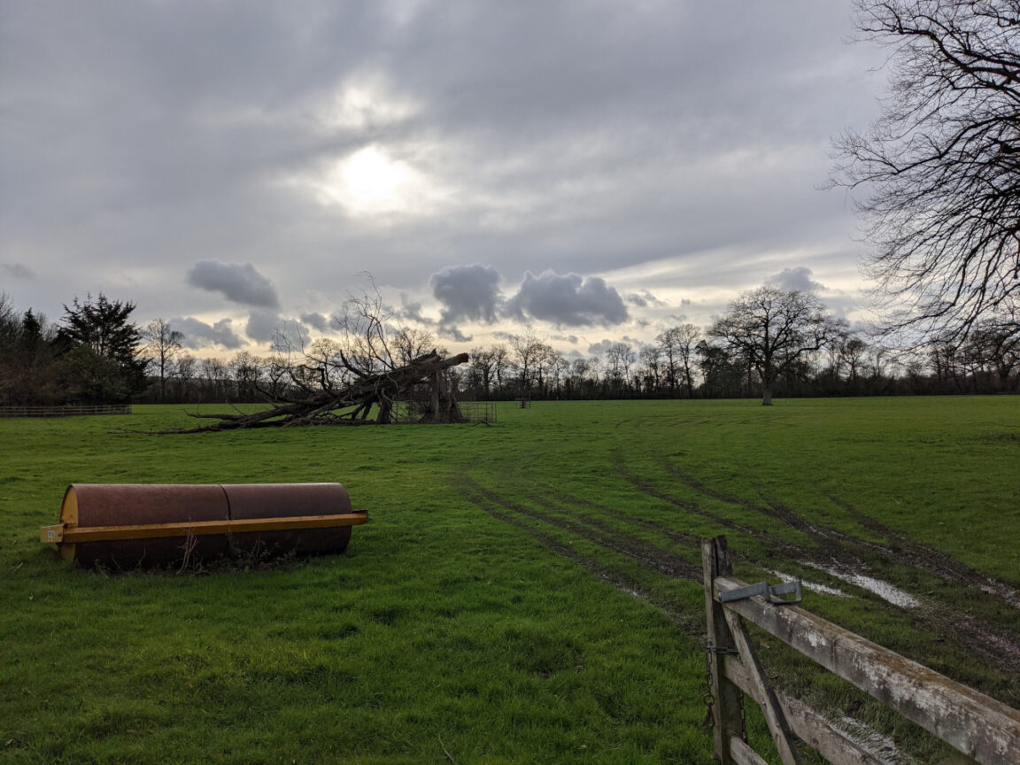 Camera shootout: Samsung Galaxy S21 Ultra vs Google Pixel 5