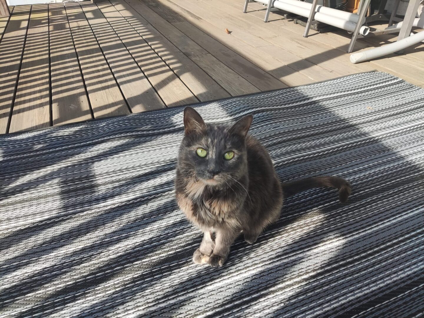 POCO F3 review: Great hardware let down by sub-par software