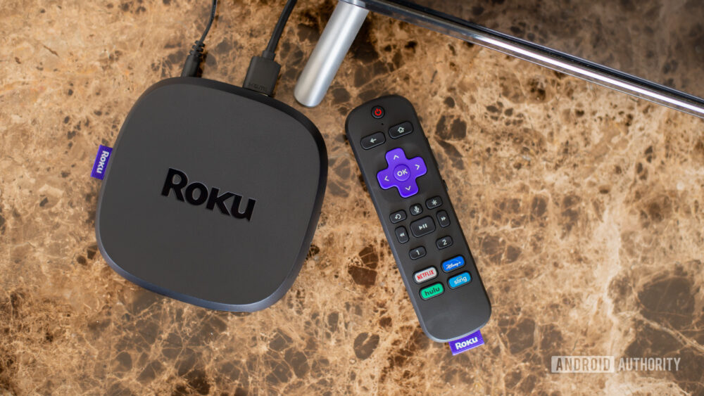 Netflix not working on Roku? Here's what to do - Android Authority