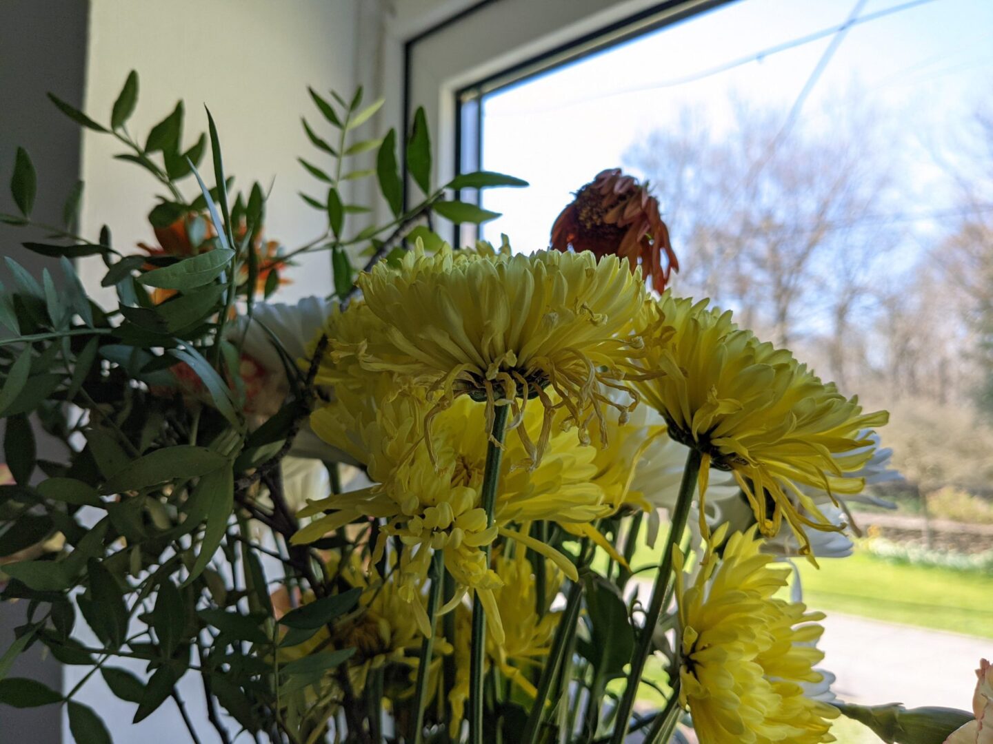 Google Pixel 5 long-term review: Is it still worth buying one year later?