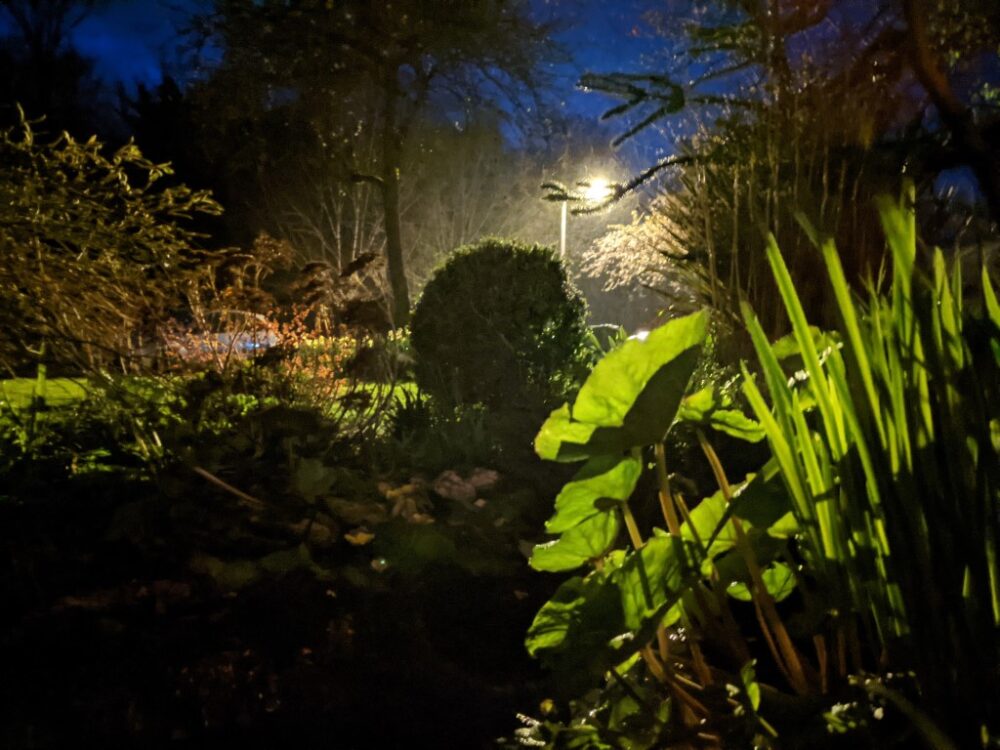 Camera shootout: OnePlus 9 Pro vs Google Pixel 5 - Android Authority