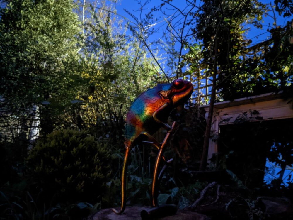 Camera shootout: OnePlus 9 Pro vs Google Pixel 5 - Android Authority