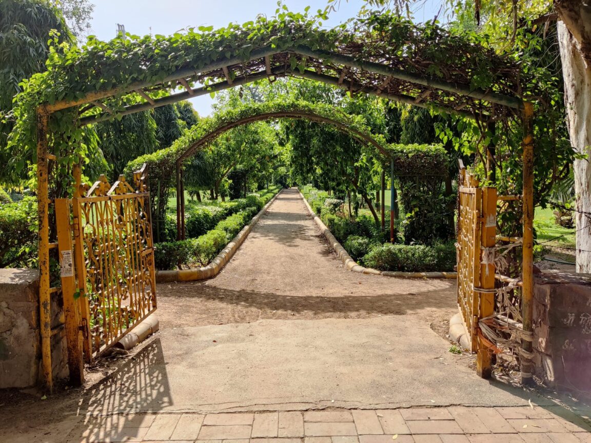 OnePlus 9R review: OnePlus 8T, take two - Android Authority