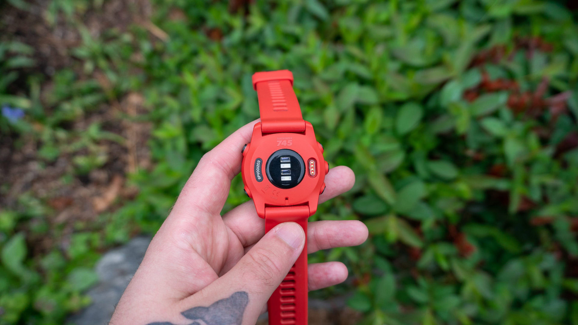 How To Perform An ECG Reading With Your Garmin Watch How To Perform An ECG Reading With Your Garmin Watch