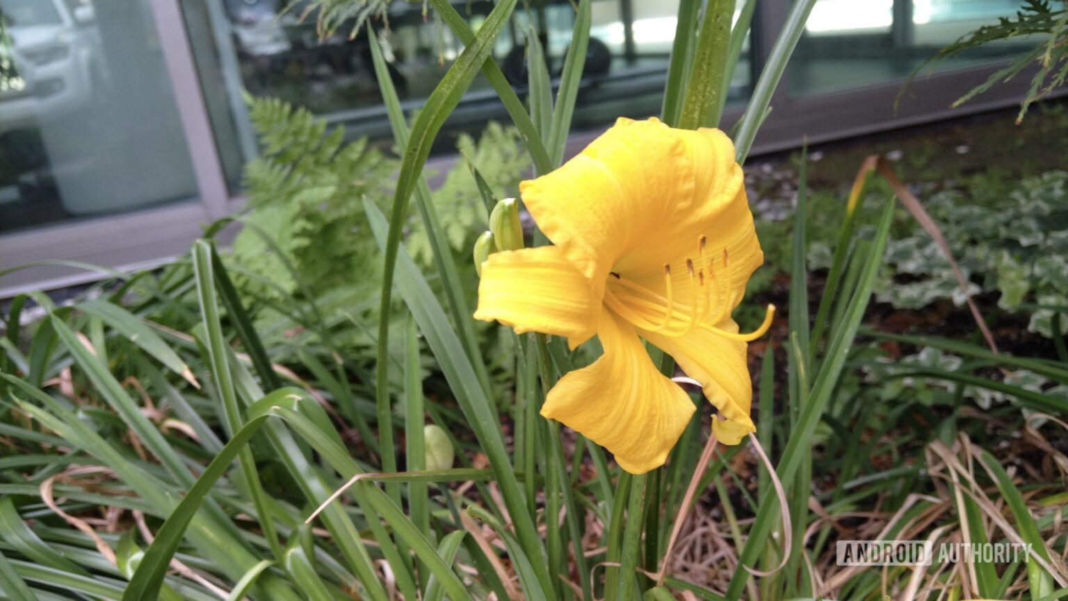 Cat S62 Pro review: See more than meets the eye