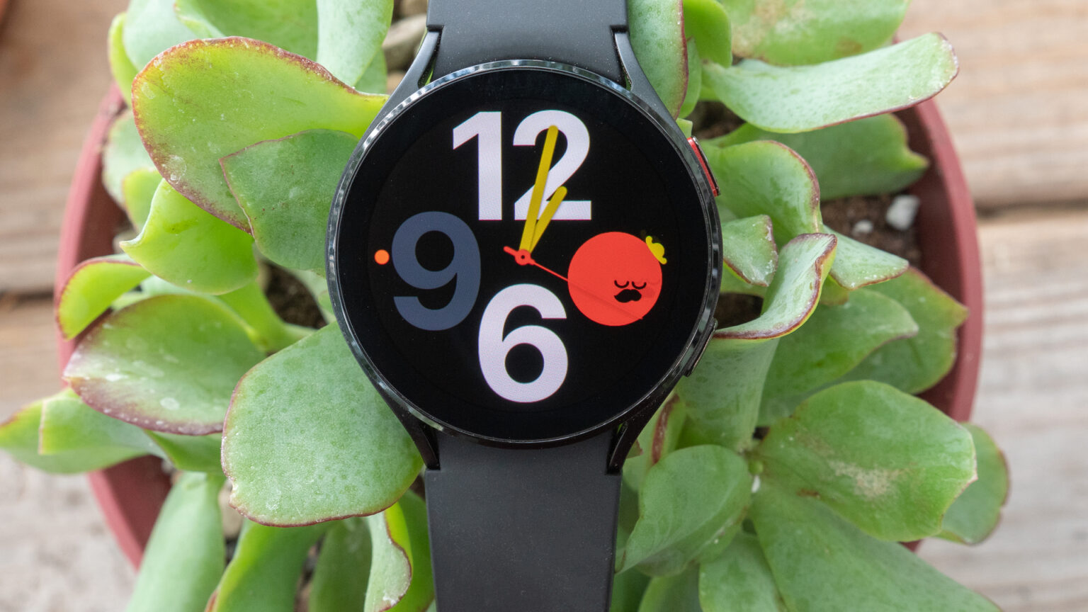 Samsung Galaxy Watch 4 review: A Wear OS watch for Samsung fans