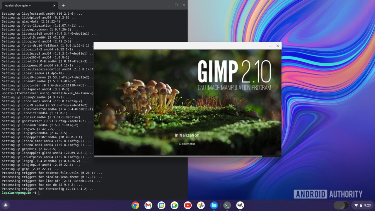Linux on Chromebooks: Here's how to install Linux apps