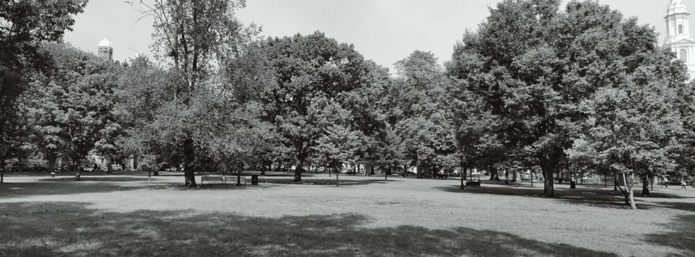 OnePlus 9 and OnePlus 9 Pro XPan feature lands - Android Authority