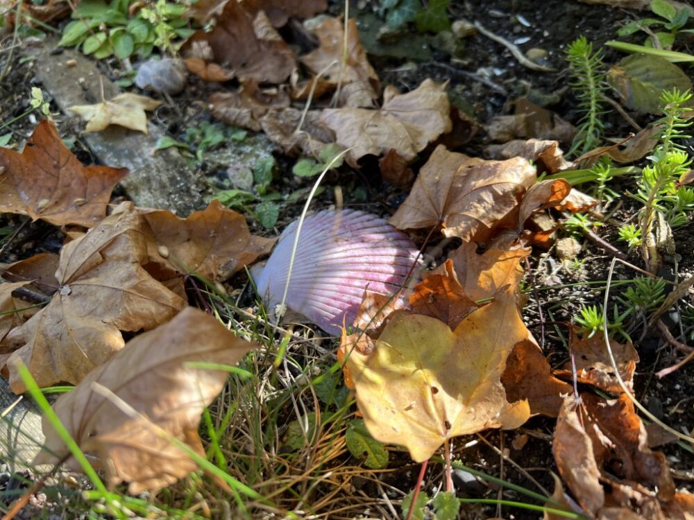 Apple iPhone 13 Pro Max review: Minimal effort, maximum reward