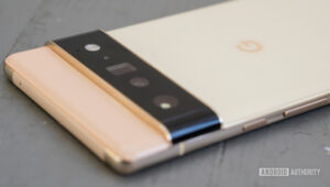 Google Pixel 6 buyer's guide: Price, specs, release date - Android ...