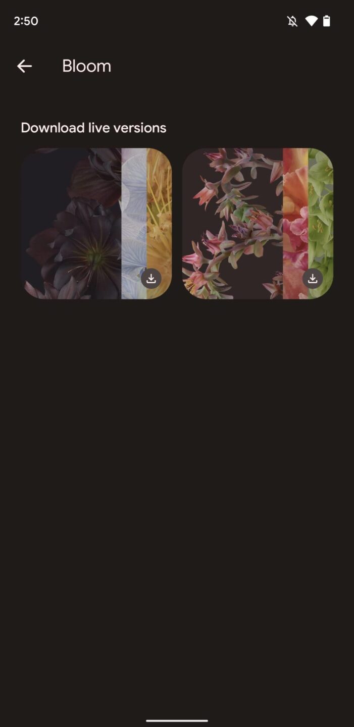 Google Pixel 6 wallpapers called 'Bloom' leak - Android Authority