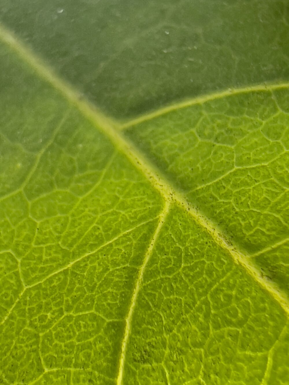 Apple iPhone 13 Pro review second opinion: Striving for perfection