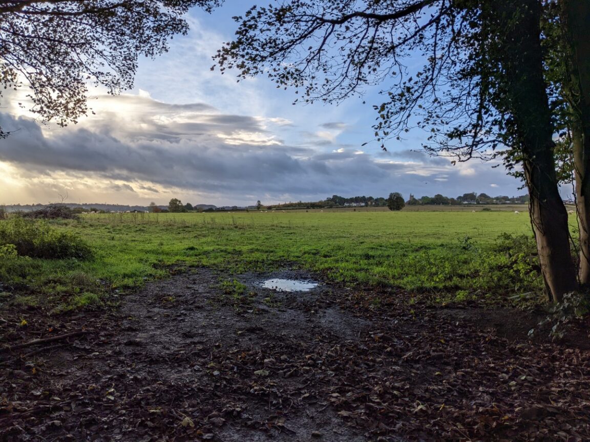 Google Pixel 6 Pro vs Pixel 5 camera test: How much better is it really?