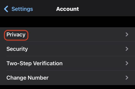 What does last seen mean on WhatsApp? - Android Authority