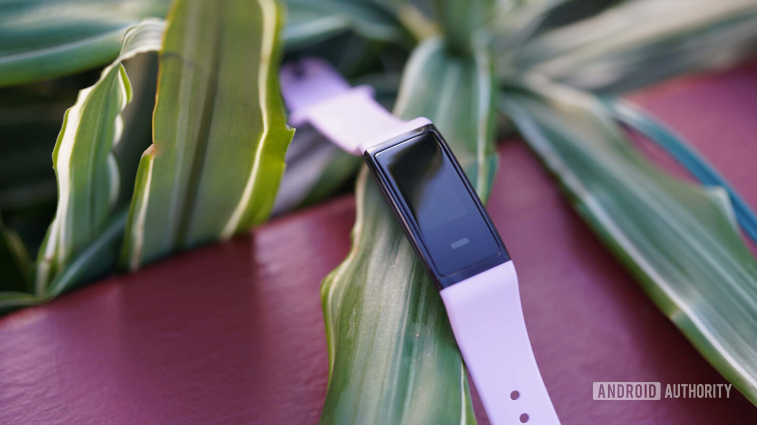 All Amazon Halo devices will stop working this year - Android Authority