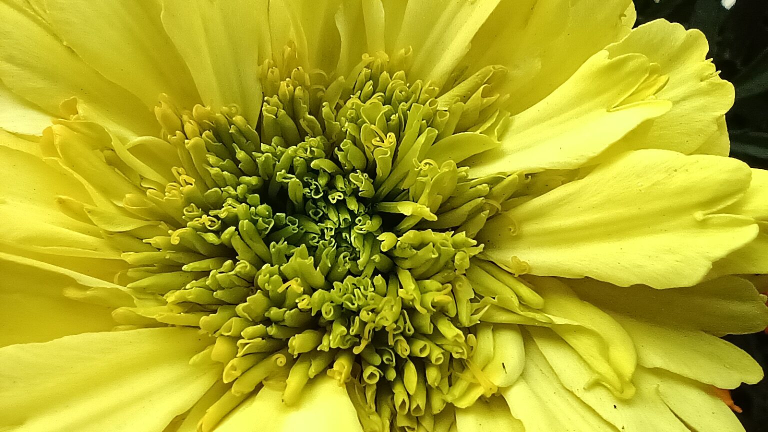 Xiaomi 11i HyperCharge review: 120W charging on the cheap