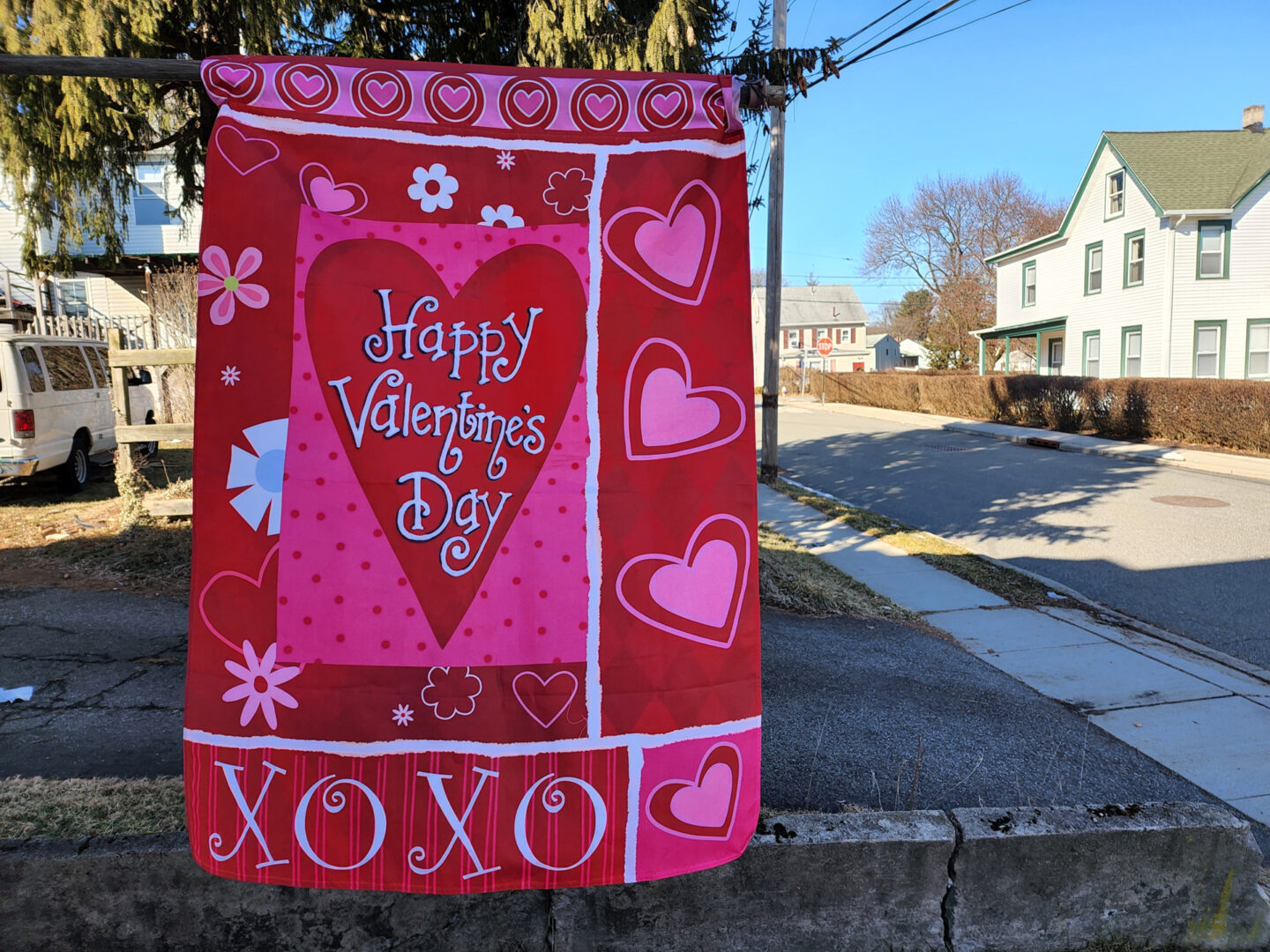 Samsung Galaxy S22 Ultra camera test: Check out these photo samples