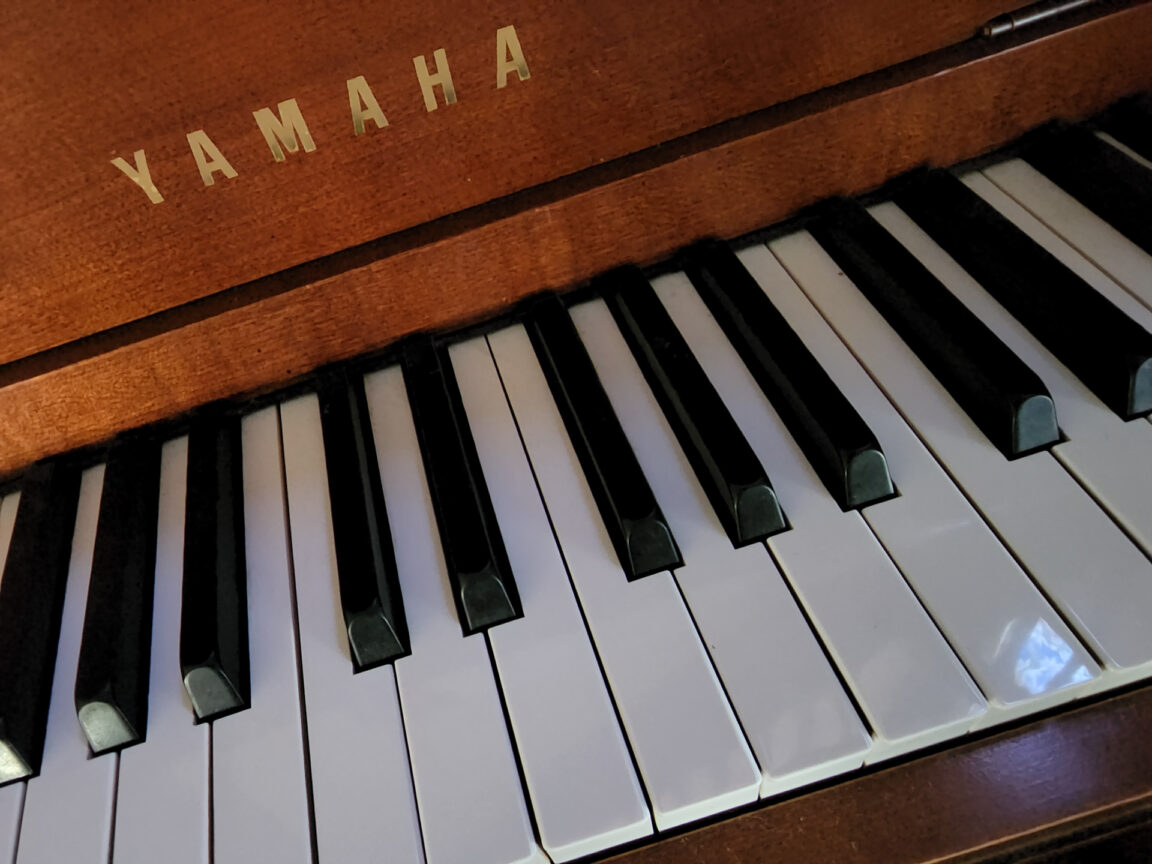 Samsung Galaxy S22 Ultra camera test: Check out these photo samples