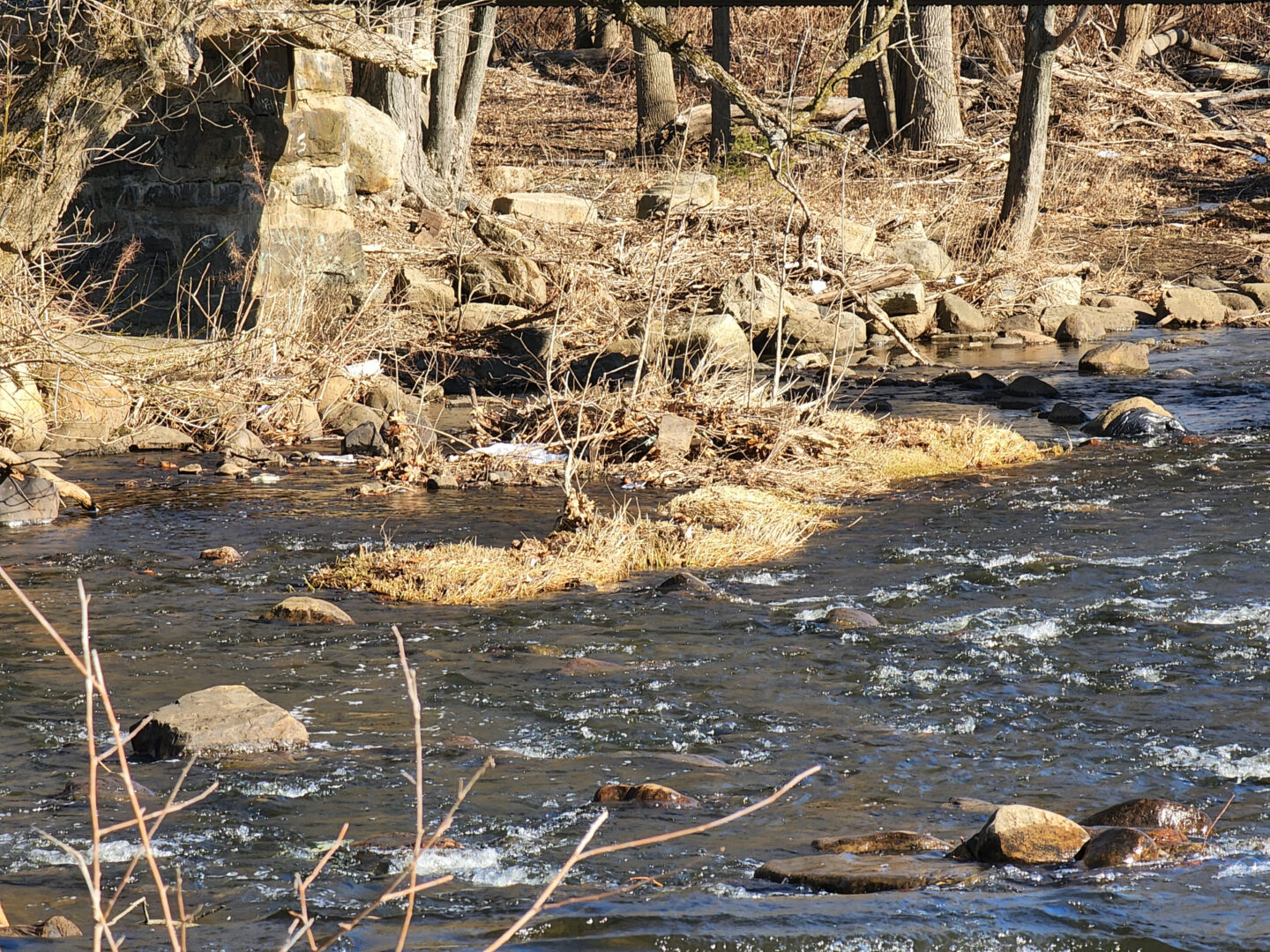 Samsung Galaxy S22 Ultra camera test: Check out these photo samples