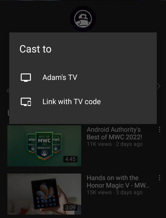How to cast to Fire TV Stick from Android or iPhone - Android Authority
