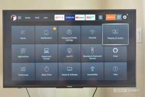 How to cast to Fire TV Stick from Android or iPhone - Android Authority
