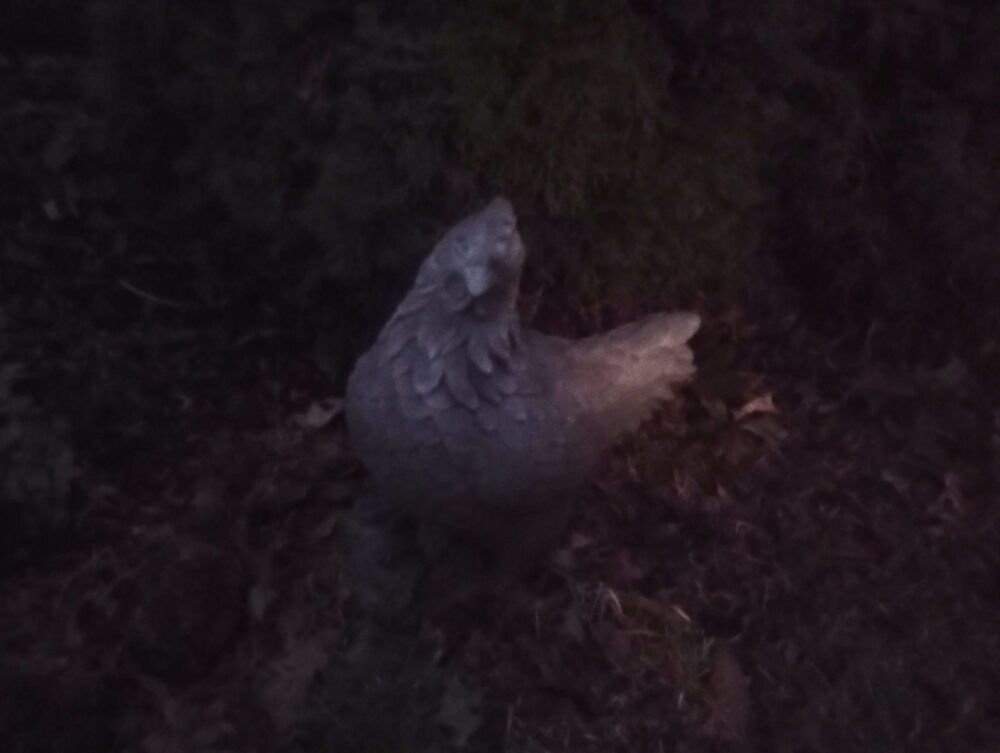 Motorola Moto G Stylus (2022) review: A super-sized sidestep