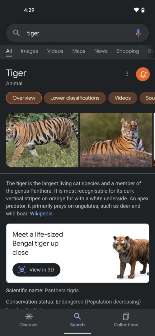 Google 3D Animals: How to put a tiger and more in your bedroom