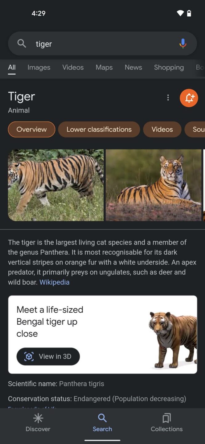Google 3D Animals: How to put a tiger and more in your bedroom