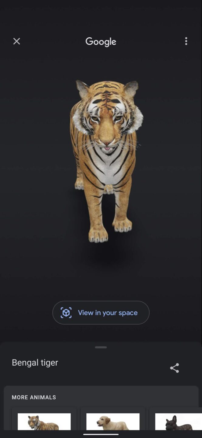 Google 3D Animals: How to put a tiger and more in your bedroom