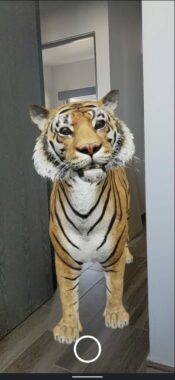 Google 3D Animals: How to put a tiger and more in your bedroom