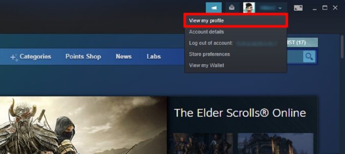 How to change your username on Steam - Android Authority