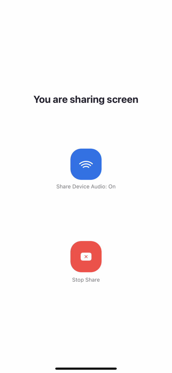How to share your screen on Zoom - Android Authority