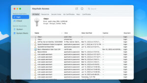 What is Keychain Access on Mac, where to find it, and how to reset it