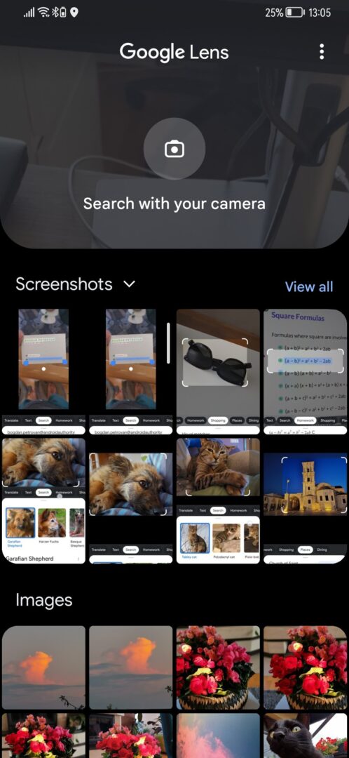 Google Lens guide: How to use Google's powerful visual search tool
