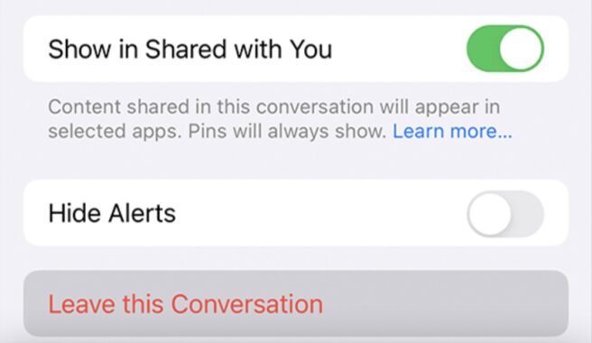 How to leave an iMessage group chat - Android Authority