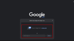 Google reverse image search: How to use it on Android, iOS, and Windows